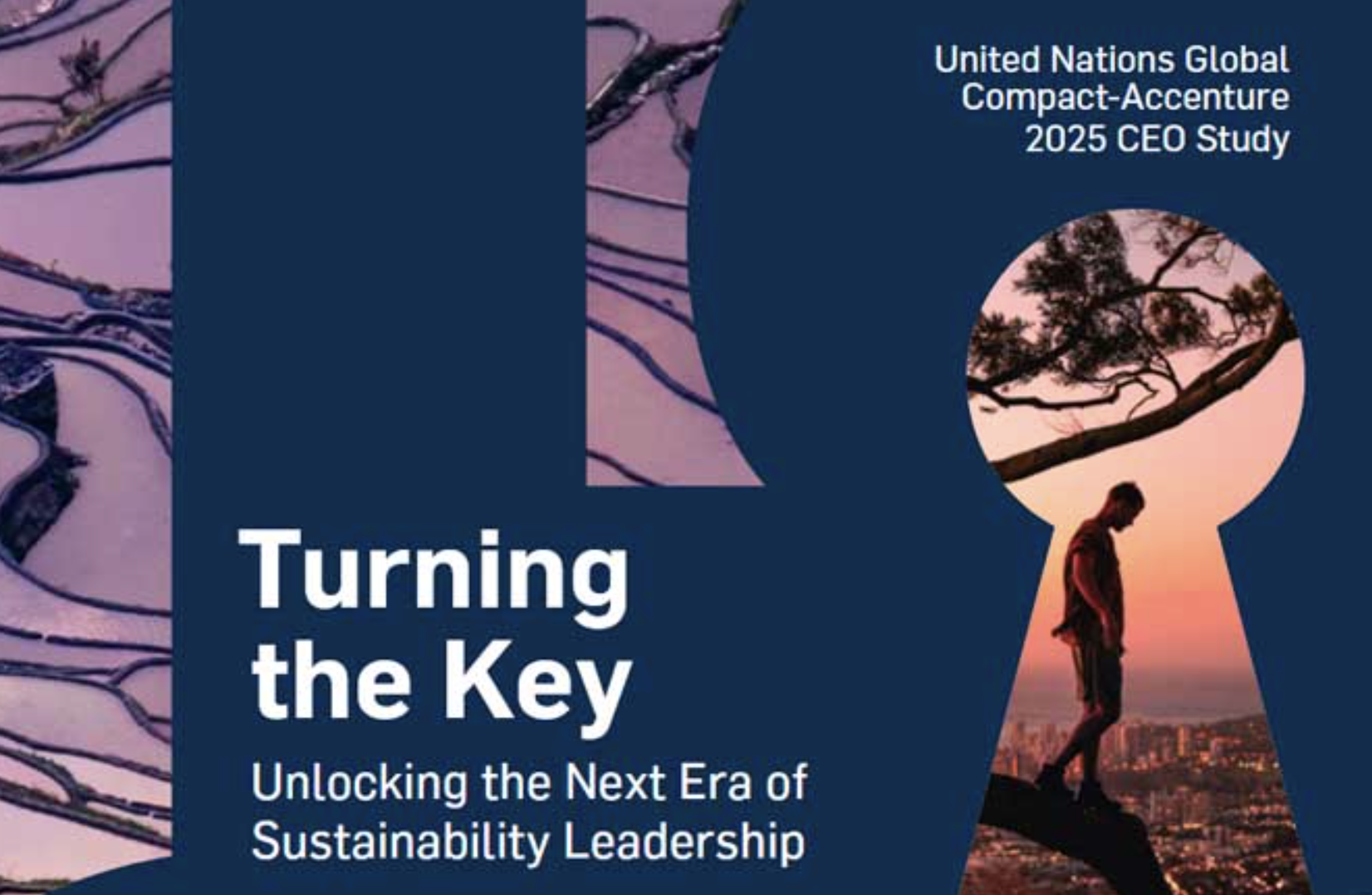 Nueve de cada diez CEOs a nivel global consideran la sostenibilidad ...